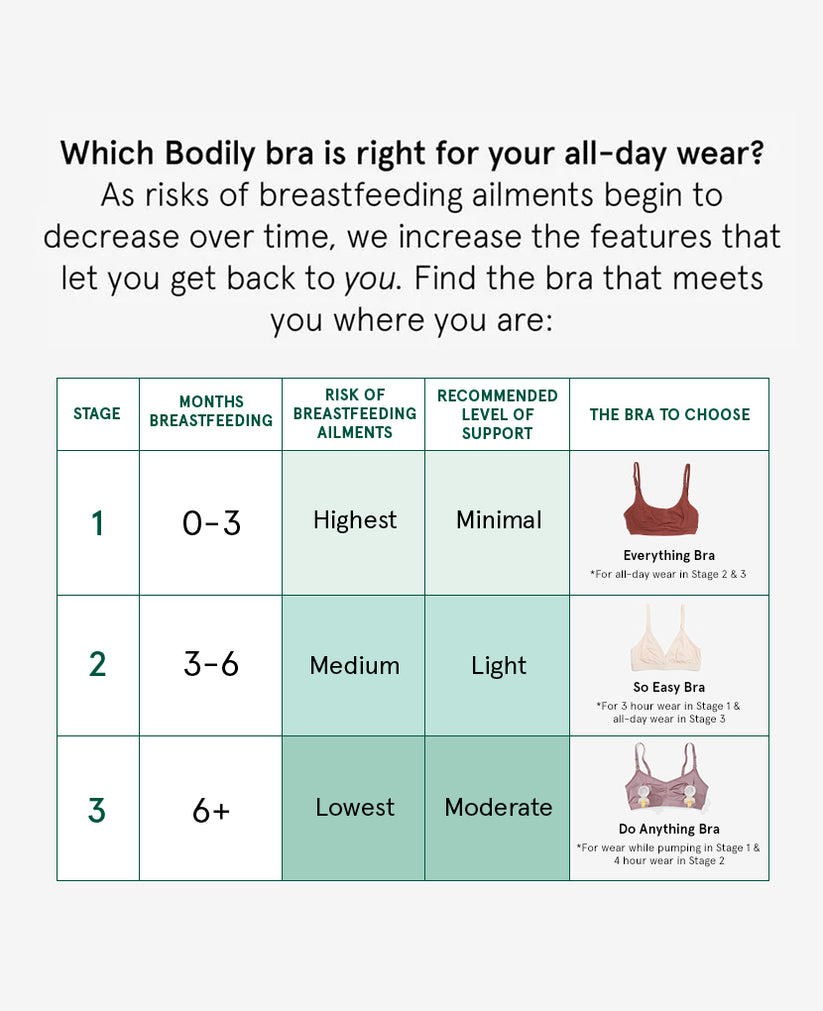 Stages of Breastfeeding 3-Pack | A Bra for Every Stage of Breastfeeding ...